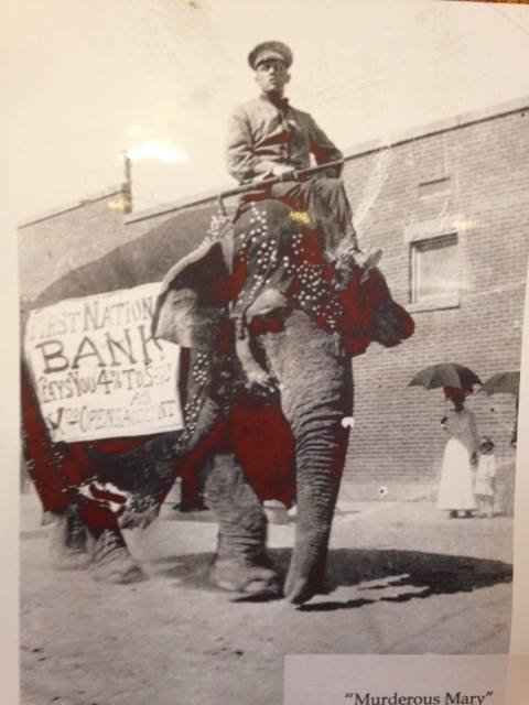 Hanging of Mary The Elephant – September 13, 1916 – Stories of Appalachia